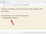 How To Embed Youtube Videos In Wordpress Step By Step