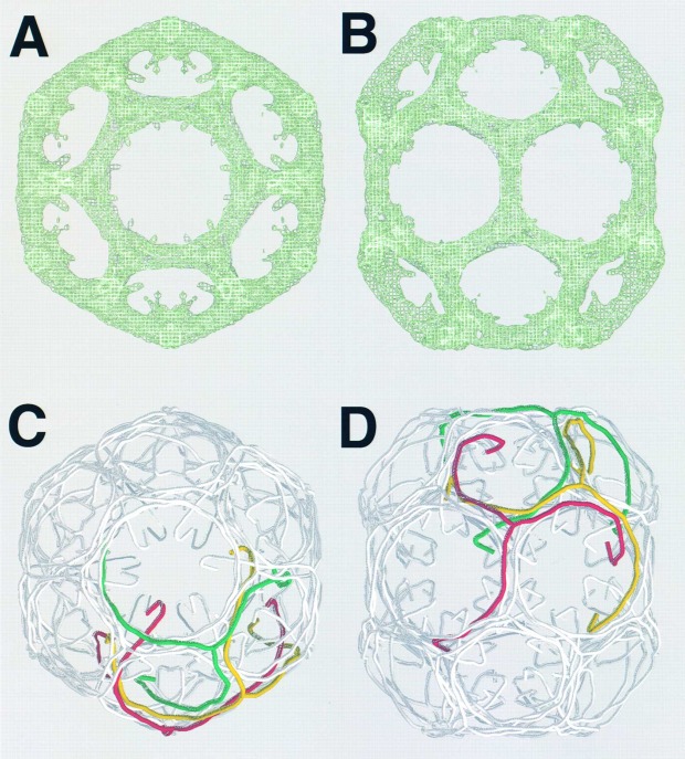 Shiny Cage: visualising clathrin triskelia in a lattice – quantixed