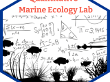 Quantitative Marine Ecology Lab Nicolas Moity