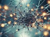 Quantum Based Cryptographic Algorithms Quantumexplainer
