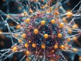 Quantum Deep Learning Quantumexplainer