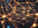 Quantum Simulation Complexity Quantumexplainer