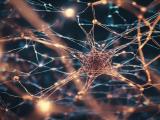 Quantum Linear Systems Solving Quantumexplainer