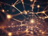 Quantum Coherence Complexity Quantumexplainer
