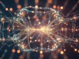 Quantum Correlation Complexity Quantumexplainer