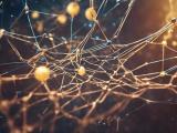 Quantum Optimization Complexity Quantumexplainer