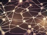 Quantum Optimization Complexity Quantumexplainer