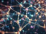 Quantum Genetic Algorithms Quantumexplainer