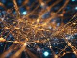 Quantum Optical Computing Quantumexplainer