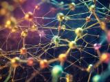 Quantum Coherence Complexity Quantumexplainer