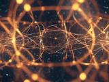 Quantum Control Models Quantumexplainer