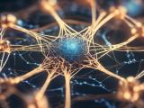 Quantum Counting Complexity