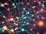 Quantum Simulation Models Quantumexplainer