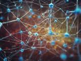 Quantum Simulation Complexity Quantumexplainer