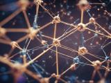 Quantum Simulation Complexity Quantumexplainer