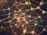 Quantum Algorithms For Diophantine Equations Quantumexplainer