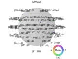 Quantum Simulation Generates Synthetic Skyrmion Textures Encoding