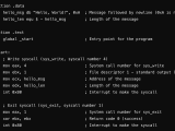 Assembly Language Examples A Example Program Written In C B