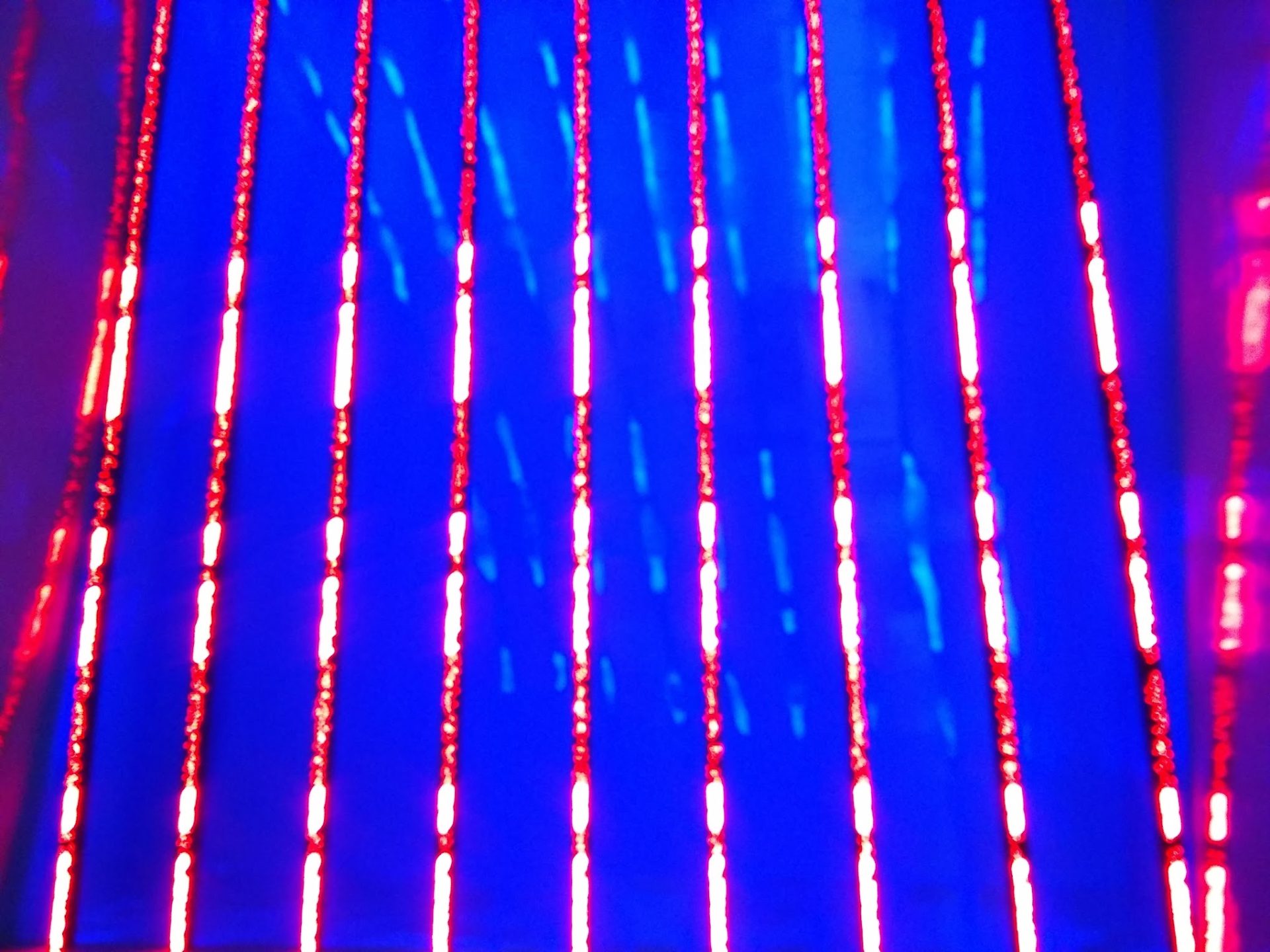 Five Quantum Companies Doing Amazing Things With Light