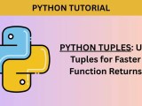 Master Python Tuples The 2 Methods Functions For Faster Code