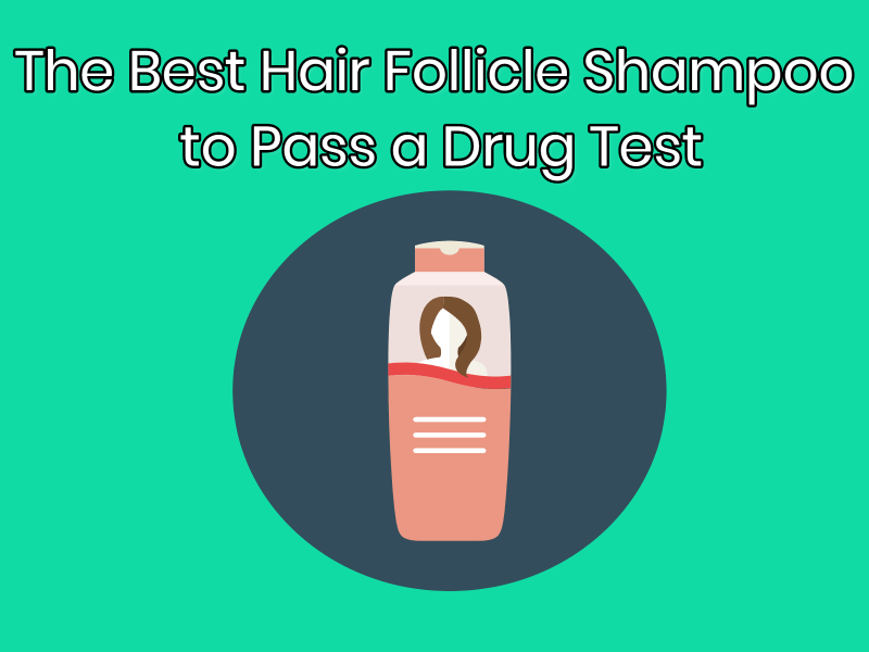 The Best Hair Follicle Shampoo - Quick Fix Synthetic Urine