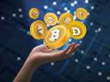 Quickswap Quickswap Exchange Official Site