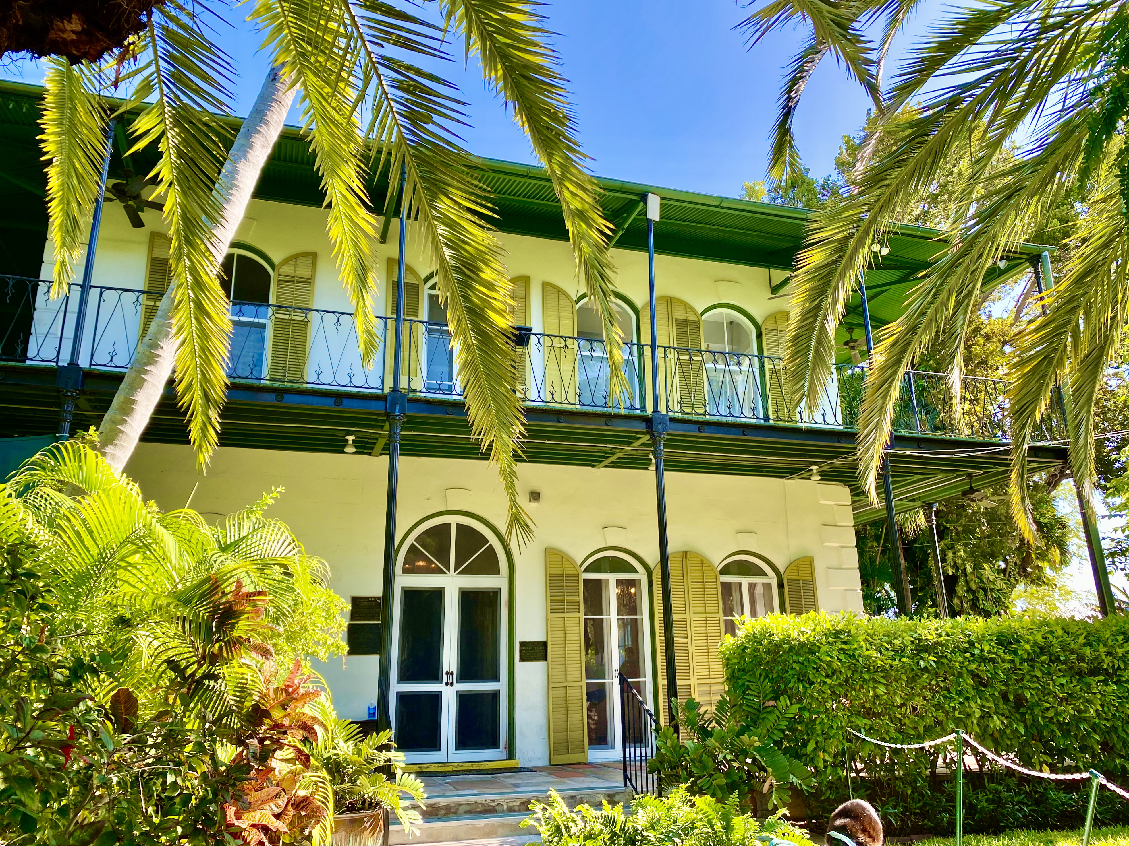 Everything You Need to Know about Visiting Hemingway's House on Key ...