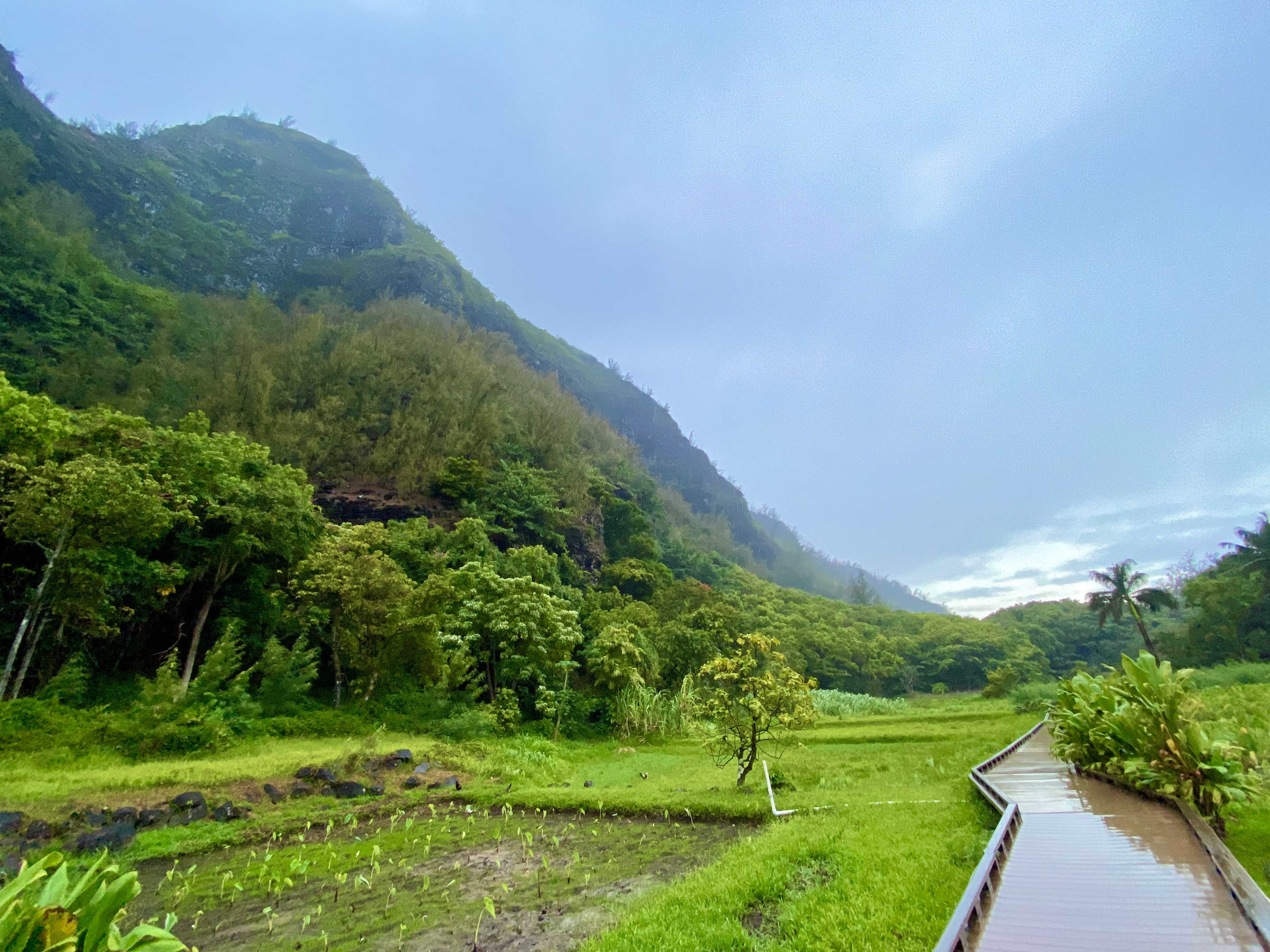 Kalalau Trail on Kaua'i: Everything You Need to Know - Quick Whit Travel