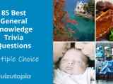85 Best General Knowledge Trivia Questions With Rounds Quizutopia