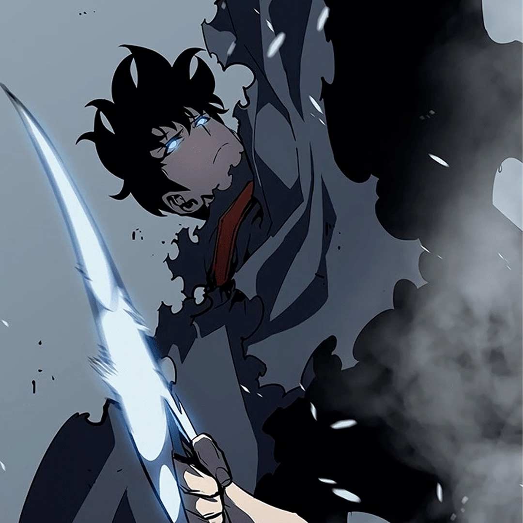 Sung Jin-Woo | Solo Leveling (WIKI)