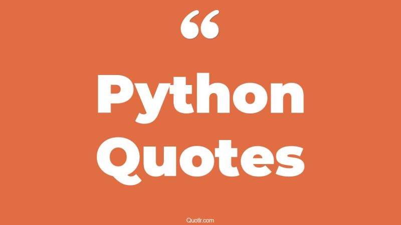 Python Programmer Quotes - Incredible Dark Pattern - High Resolution