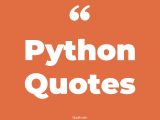 75 Uplifting Python Quotes Monty Python Black Knight Monty Python