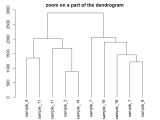 Most Basic Dendrogram For Clustering With R The R Graph Gallery