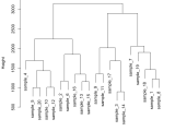 Most Basic Dendrogram For Clustering With R The R Graph Gallery