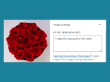 How To Write Alt Text For Images For Seo Radiatewp Wordpress Support