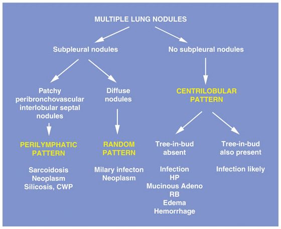 Nodular Lung Disease | Radiology Key