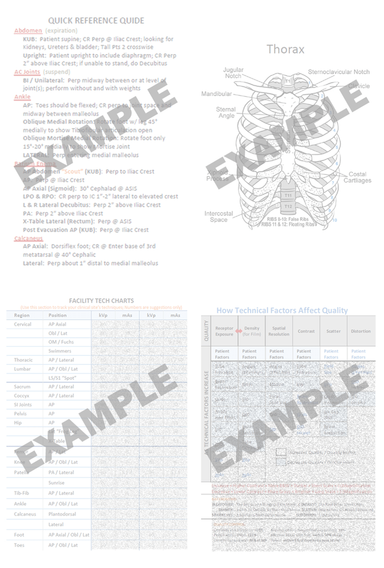 Student Rad Tech Clinical Booklet (Color) - Student X-ray Markers ...