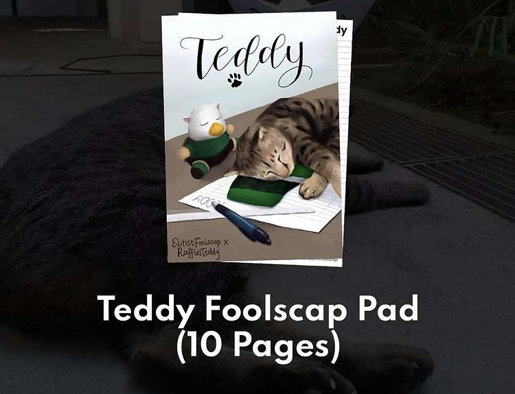 From Teddy Lovers to Teddy Superfans: the People Behind @RafflesTeddy ...