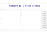 Raincode Console