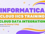 Cloud Idmc Iics Cdi Batch 15 Raj Cloud Technologies