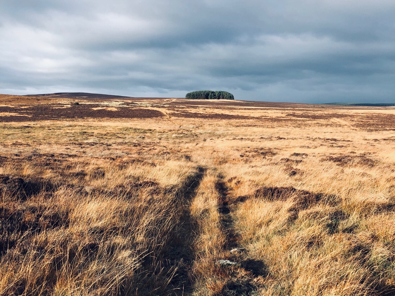 Bewick Moor – The Rambling Scot