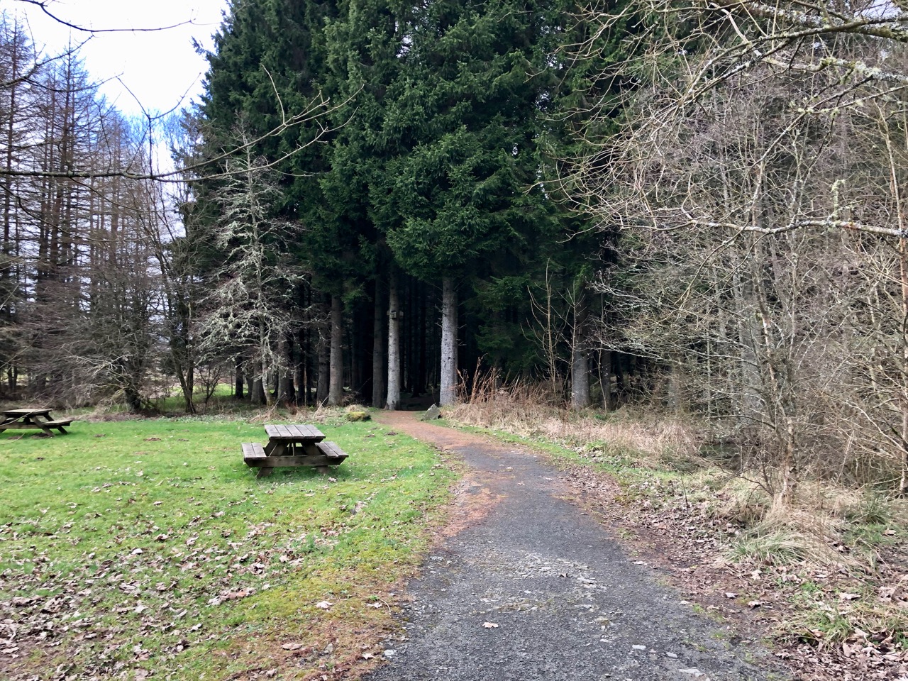 Craik Forest – The Rambling Scot
