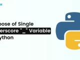 Purpose Of Single Underscore Variable In Python Rankvise