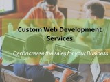 Custom Web Development Services Ranu Patel Webexpert