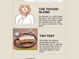 The Thyroid Tests Everyone Should Know Guide To Your Results