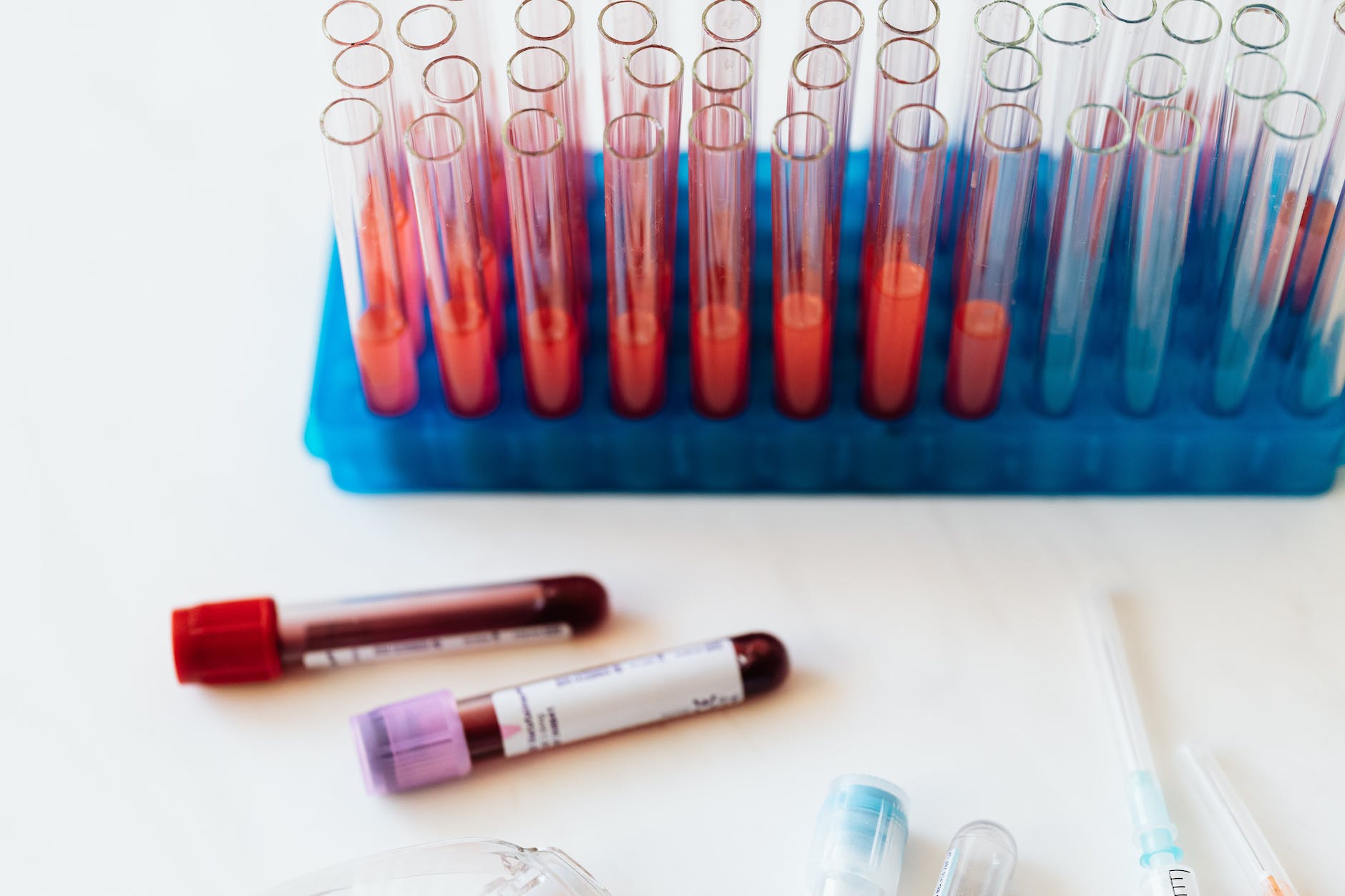 Rapid CBC Blood Tests - Rapid Bio Lab