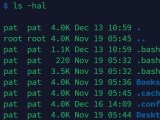 10 Essential Linux Commands For Troubleshooting Issues Raspberrytips