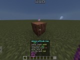 Github Vytdev Debug Stick Working Debug Stick For Minecraft Bedrock