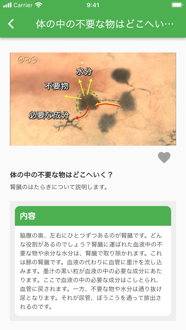 Flutter NHK For School : Free Flutter Source Code