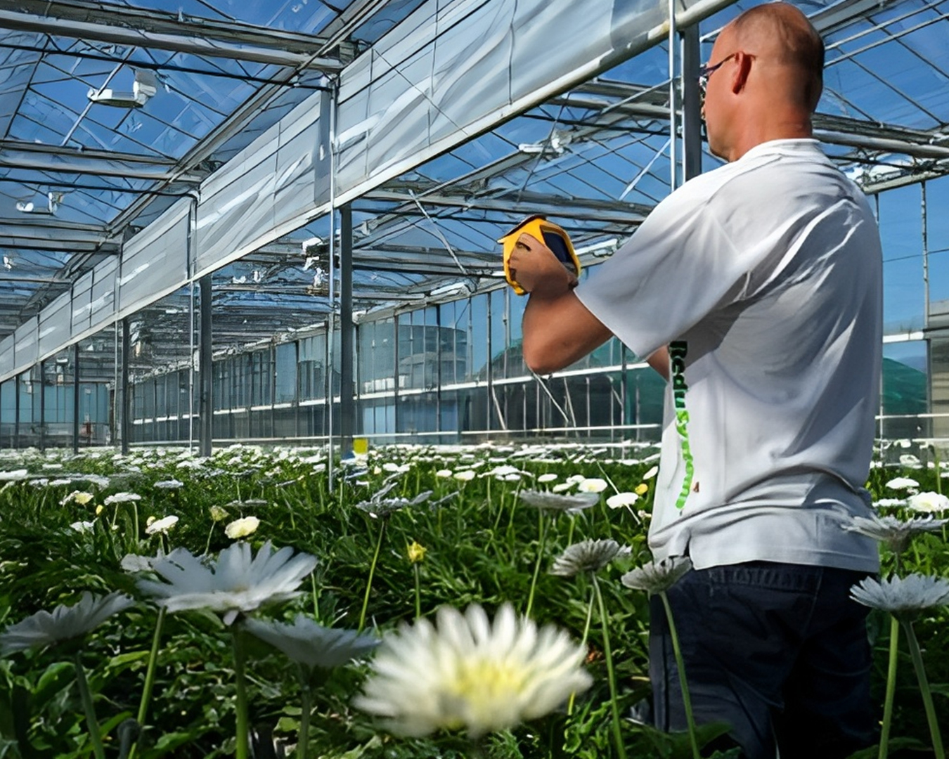 Performance Additive Masterbatches – Ray Colors